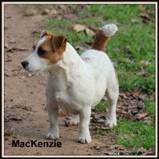 MacKenzie | Russellville Farms
